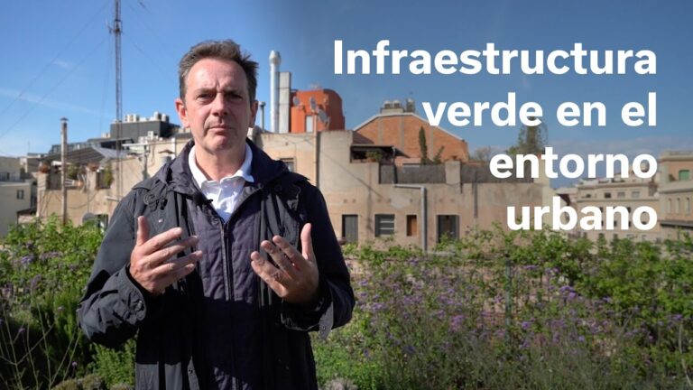 Mejorando la Accesibilidad en Áreas Verdes: Infraestructura para Todos ...