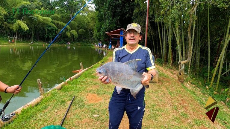 Los Mejores Destinos para la Pesca Recreativa en Lagos | Actualizado ...