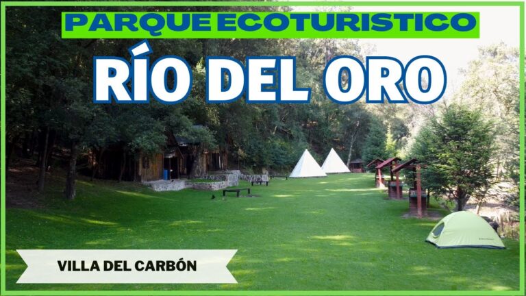 Mejores Zonas de Picnic para Acampar | Actualizado mayo 2026