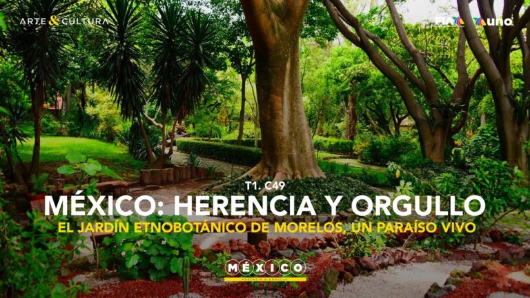 Cultura Botánica en Jardines Históricos: Un Legado Verde | Actualizado ...